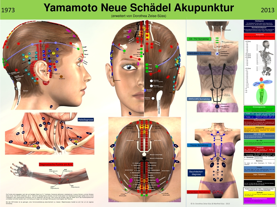 YNSA Sommer Campus II